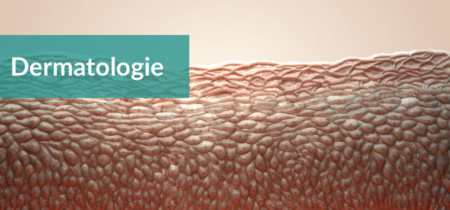 Fachbereichsseite Dermatologie
